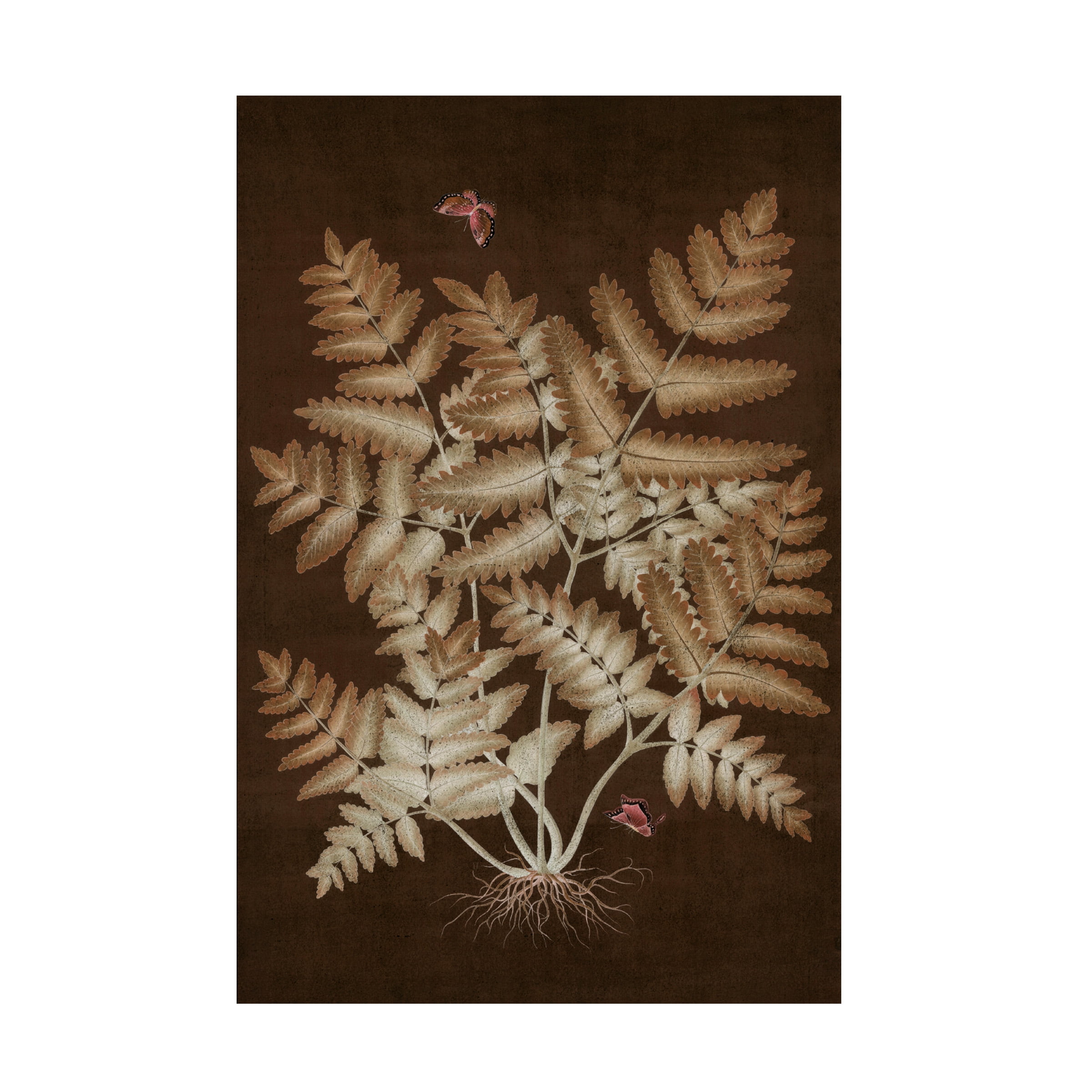 Paul Montgomery 'Ferns in Roasted Brown I' Canvas Art - Walmart.com