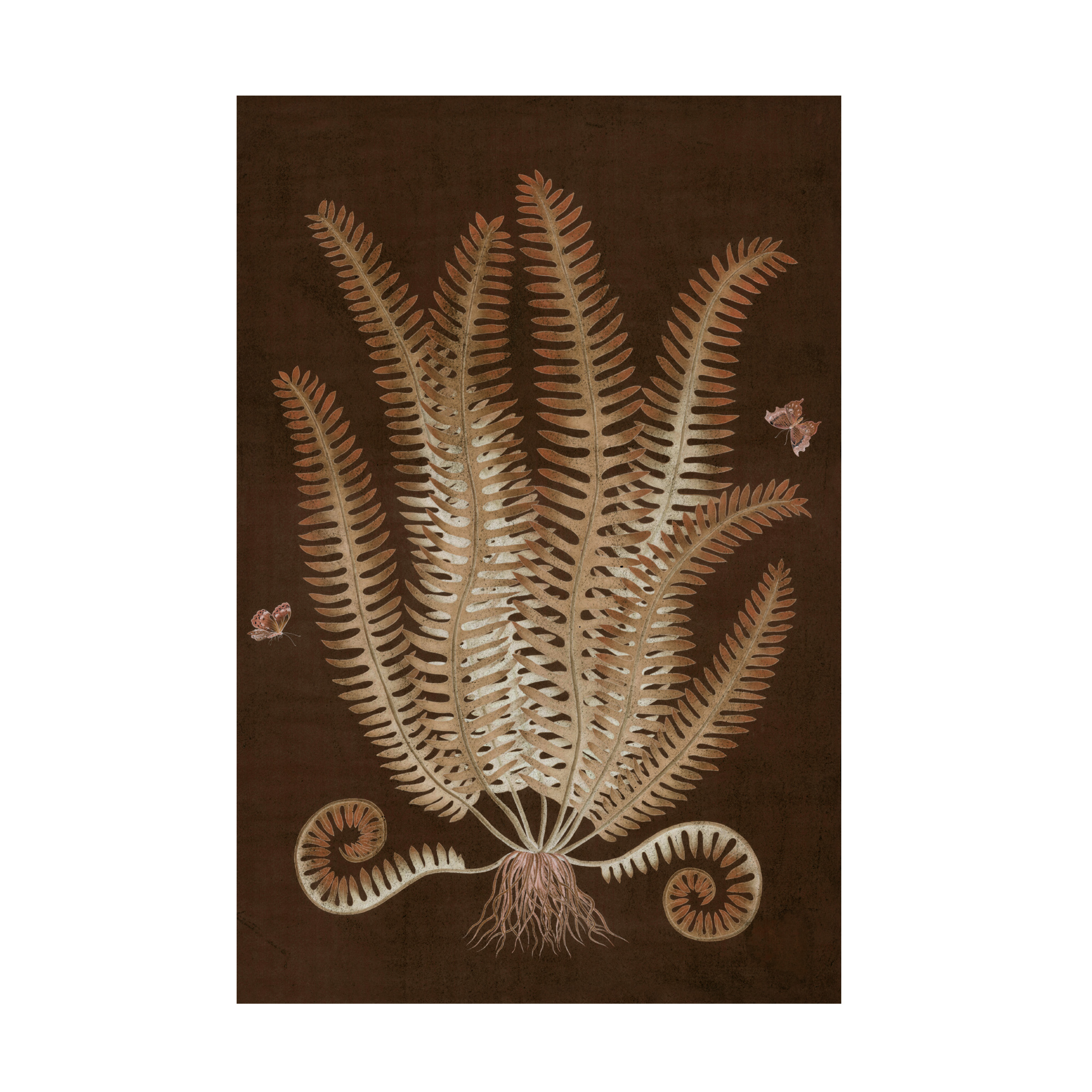Paul Montgomery 'Ferns in Roasted Brown III' Canvas Art - Walmart.com