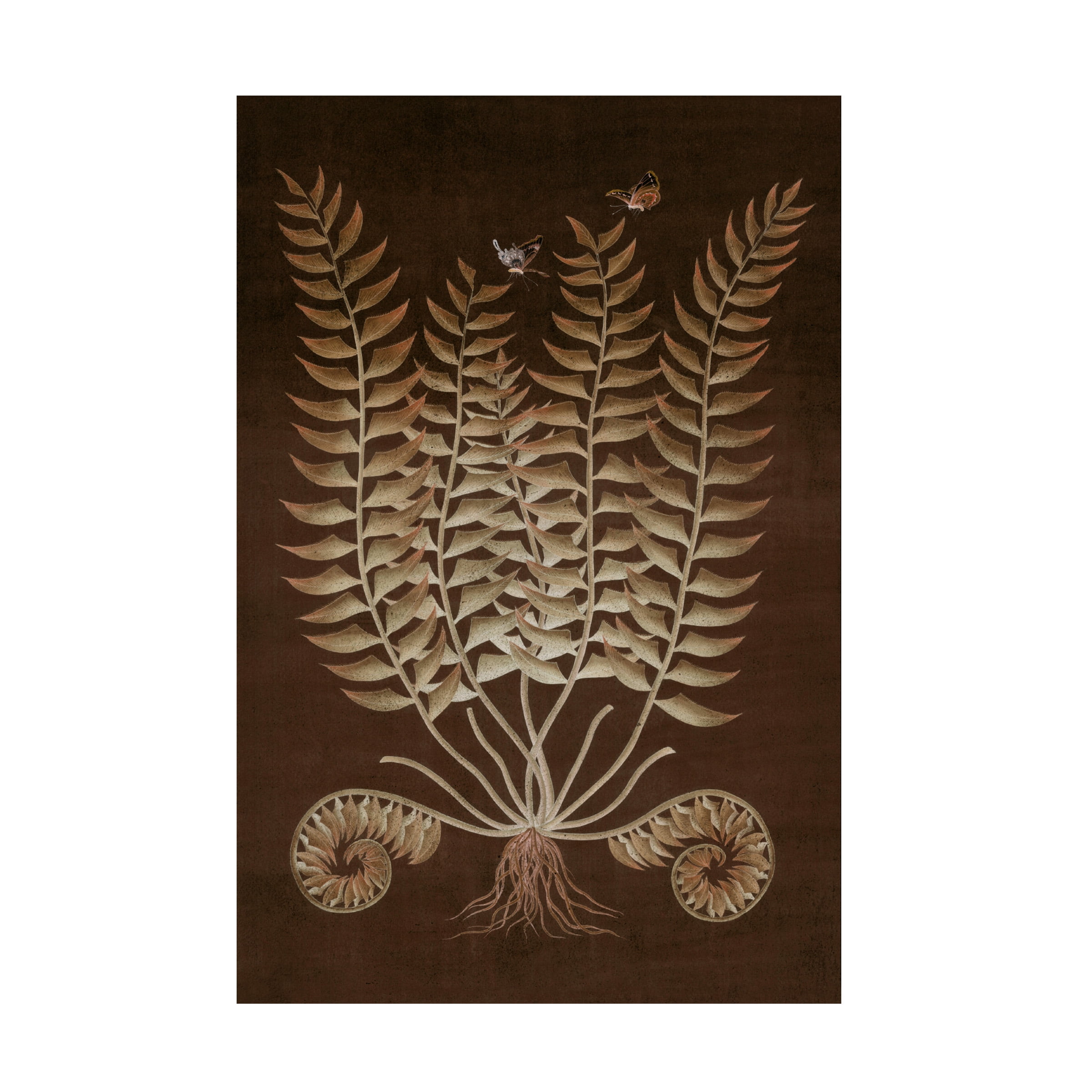 Paul Ferns Canvas Art - Modern & Contemporary Floral Print - Walmart.com