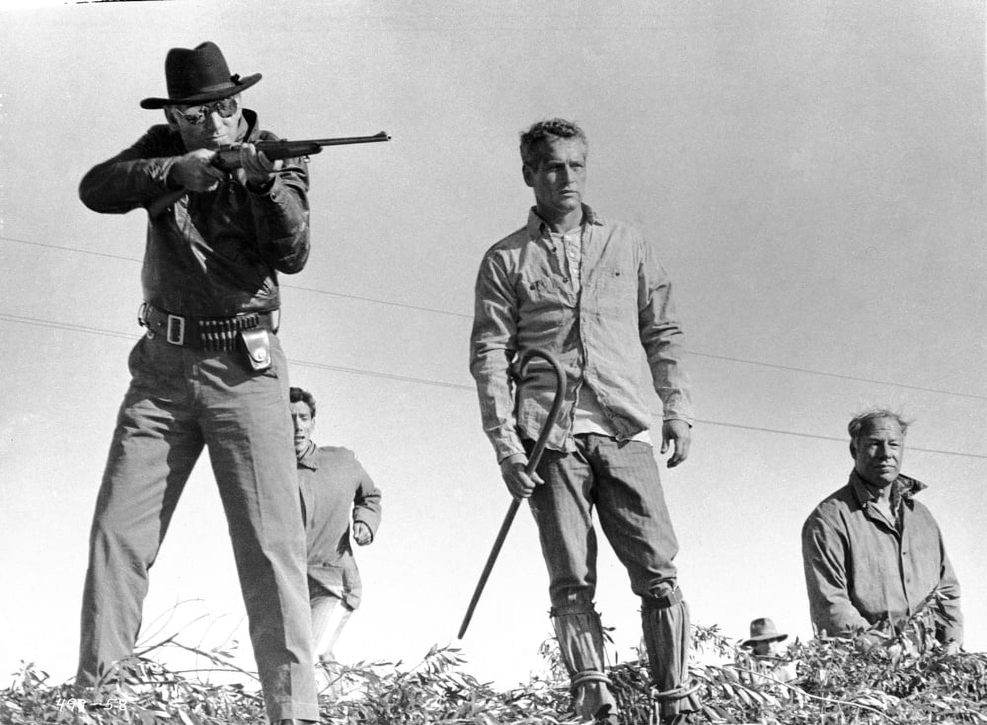 Paul Newman Practicing Rifle in Formal Outfit Black and White Photo ...