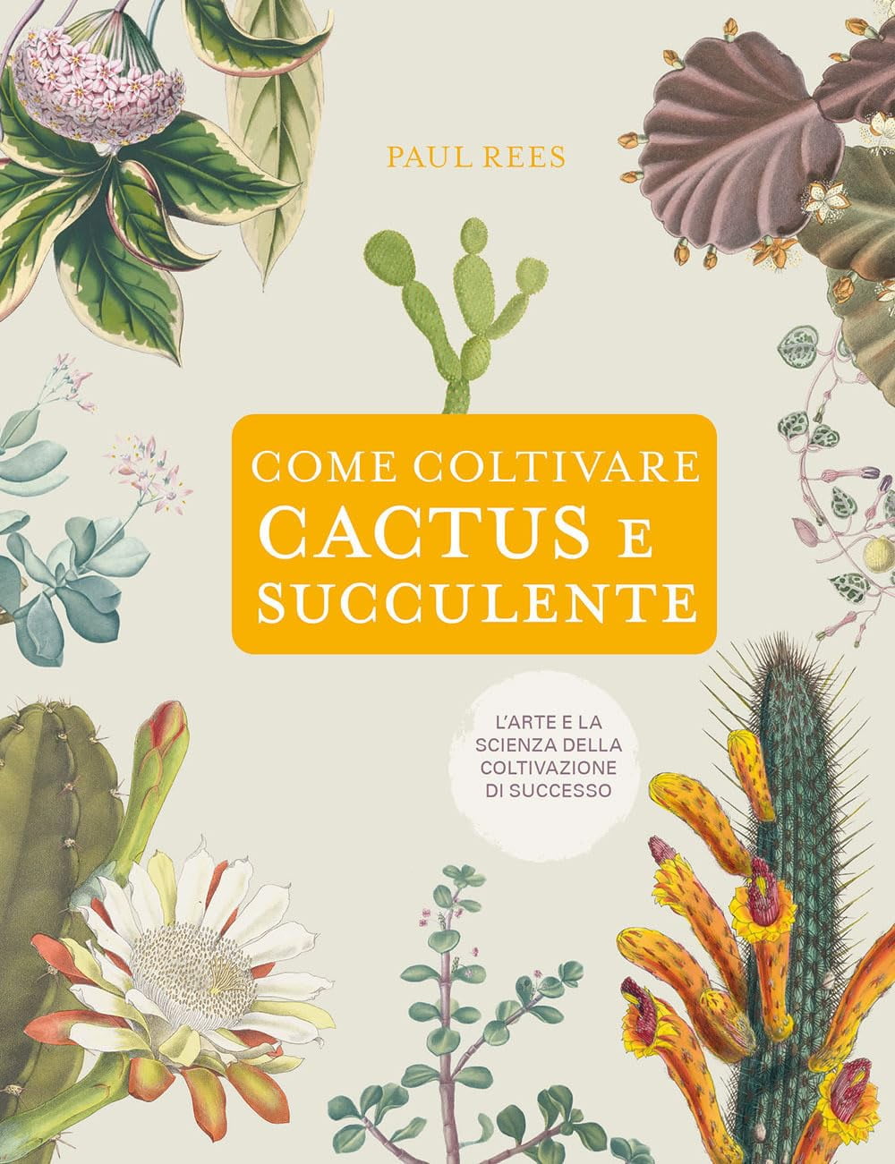 Paul Rees Come coltivare cactus e succulente (Hardcover) - Walmart.com