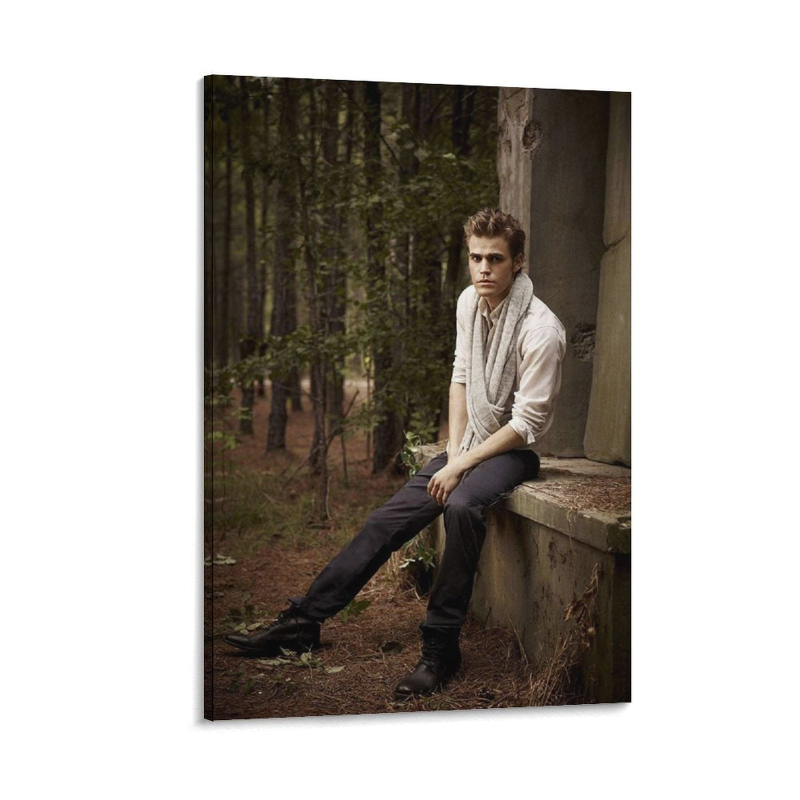 Paul Wesley Poster HOT Actor Room Aesthetic Poster Print Art Wall ...