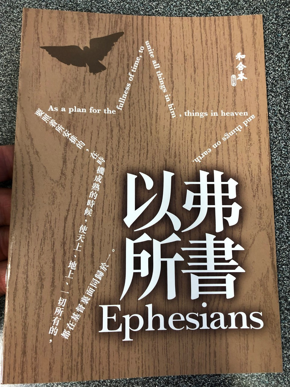 Paul's letter to the Ephesians in Chinese Language SUPER LARGE PRINT ...