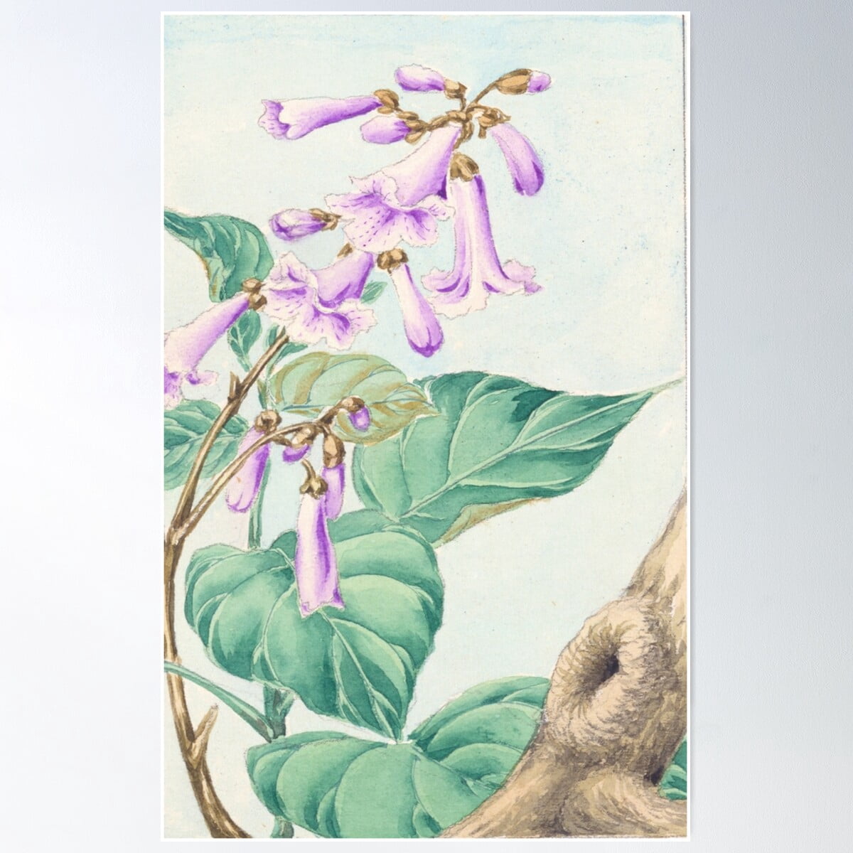 Paulownia, Kiri Tree Poster Wall Art, Modern Wall Decor For Living Room ...