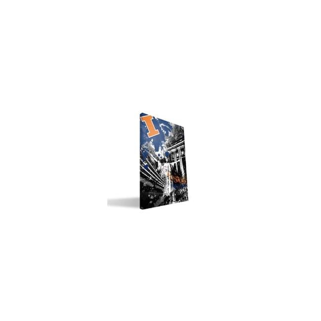 Paulson Designs ILSP2436 Illinois Spirit Canvas, 24 x 36 in. - Walmart.com