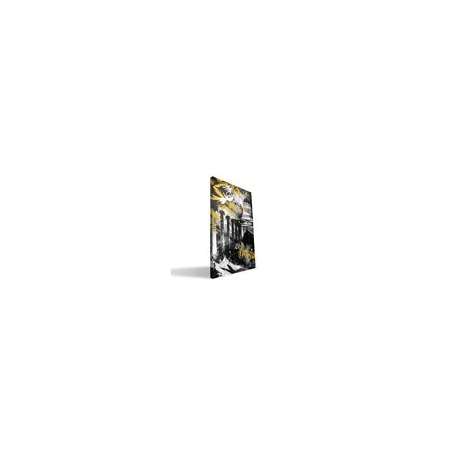 Paulson Designs MISSP2436 Missouri Spirit Canvas, 24 x 36 in. - Walmart.com