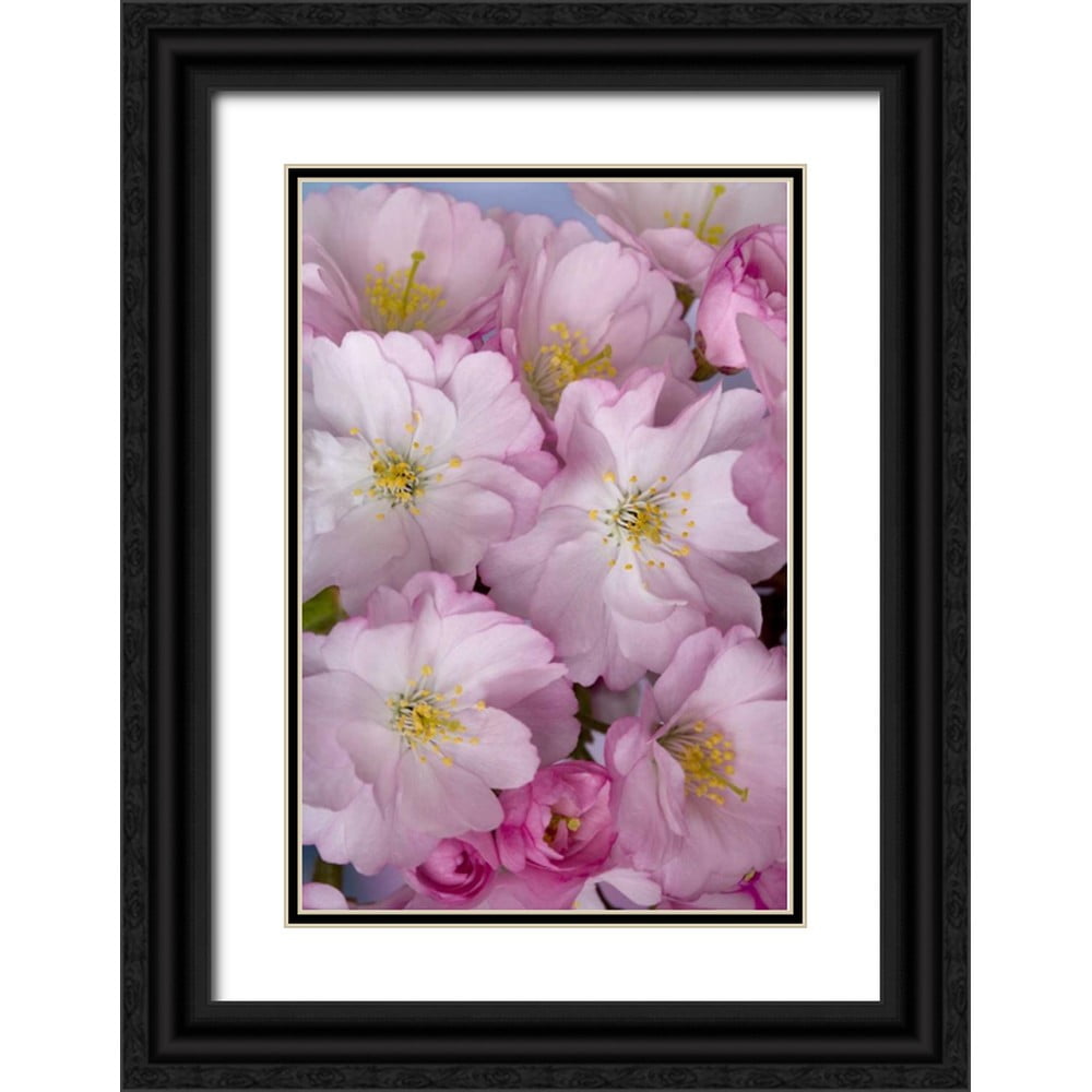 Paulson, Don 11x14 Black Ornate Wood Framed with Double Matting Museum ...