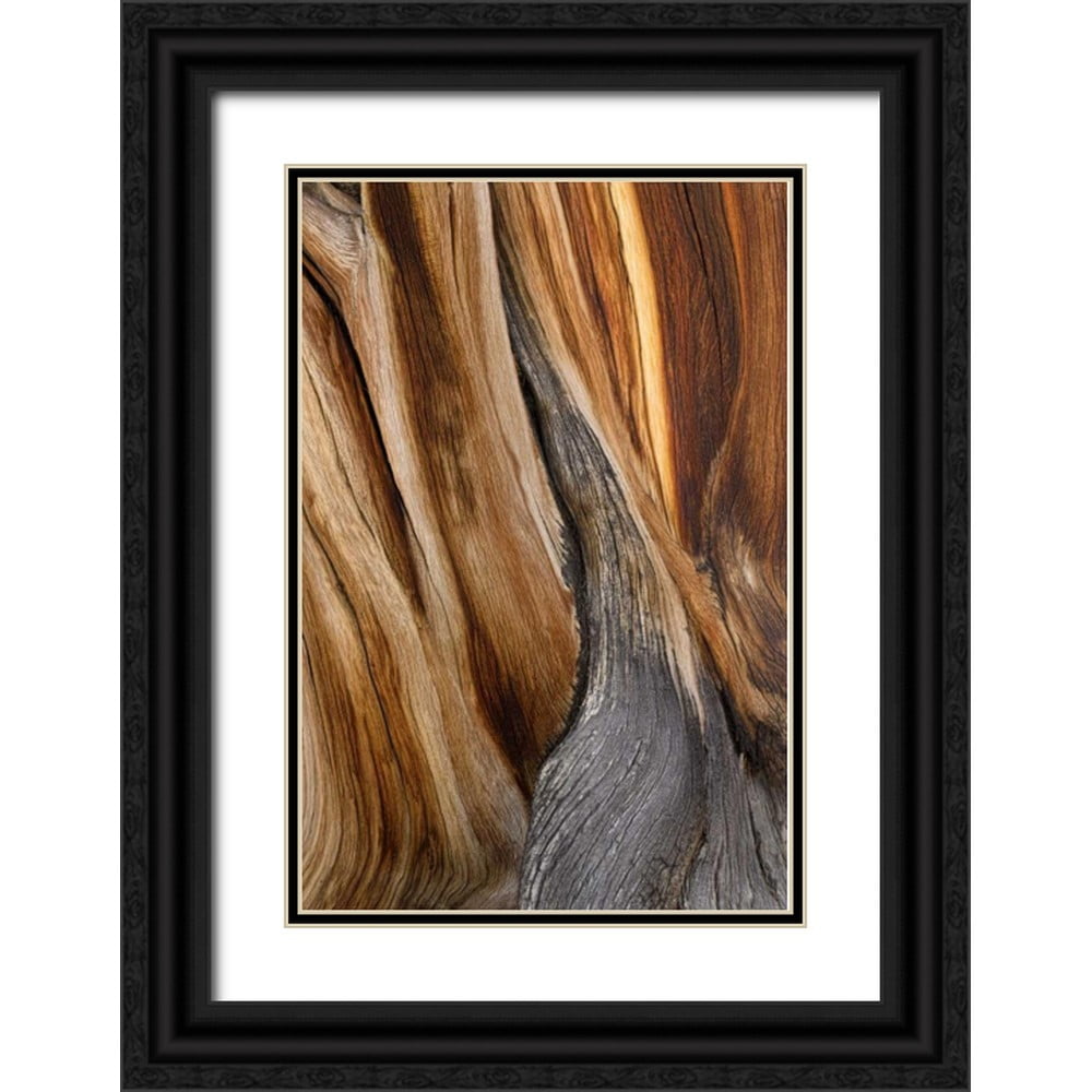 Paulson, Don 11x14 Black Ornate Wood Framed with Double Matting Museum ...