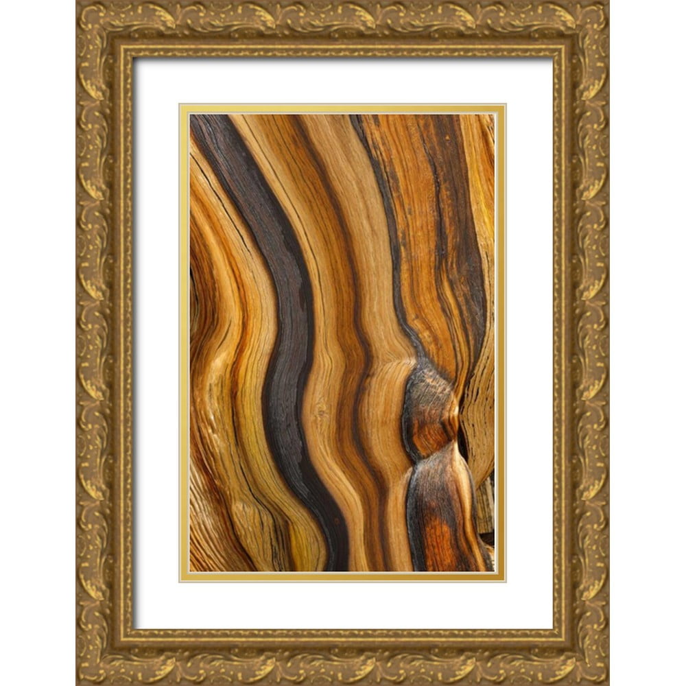 Paulson, Don 11x14 Gold Ornate Wood Framed with Double Matting Museum ...