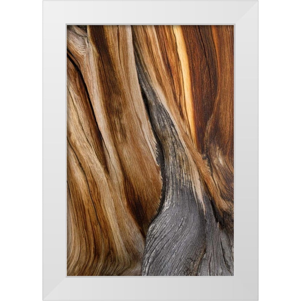 Paulson, Don 11x14 White Modern Wood Framed Museum Art Print Titled ...