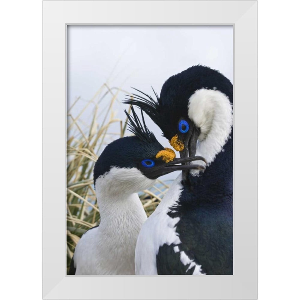 Paulson, Don 11x14 White Modern Wood Framed Museum Art Print Titled ...