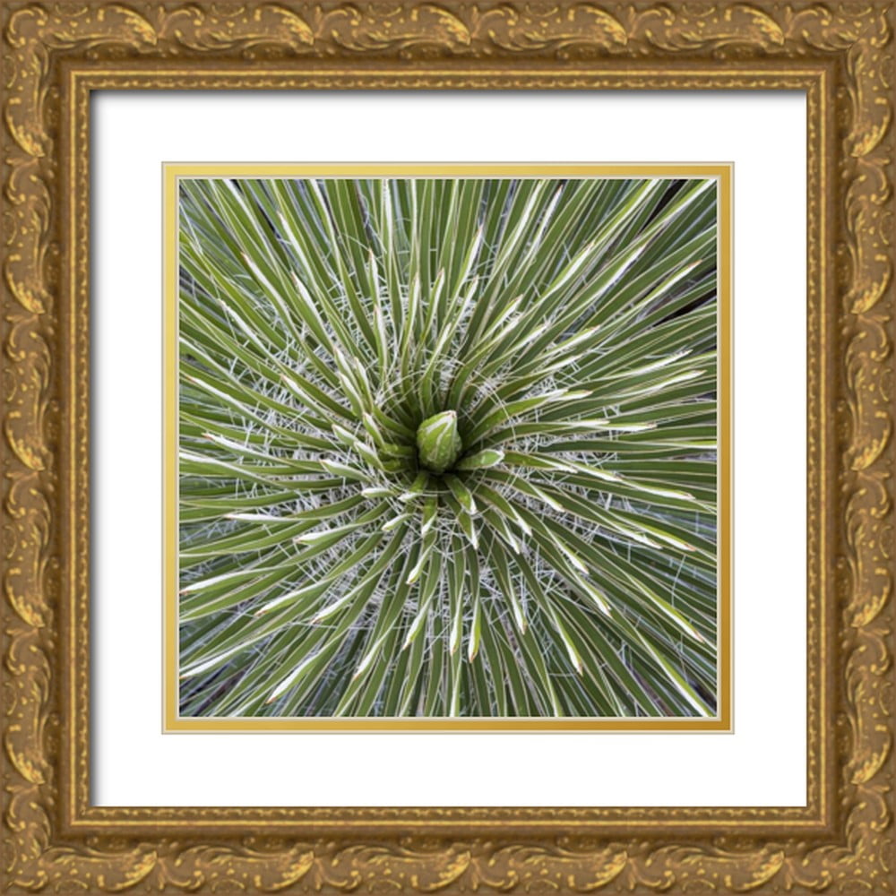 Paulson, Don 12x12 Gold Ornate Wood Framed with Double Matting Museum ...