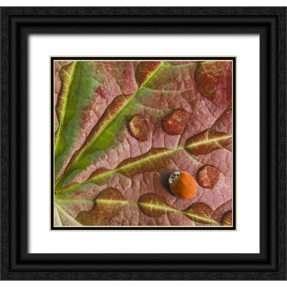 Paulson, Don 13x12 Black Ornate Wood Framed with Double Matting Museum ...