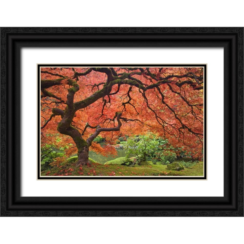 Paulson, Don 14x11 Black Ornate Wood Framed with Double Matting Museum ...