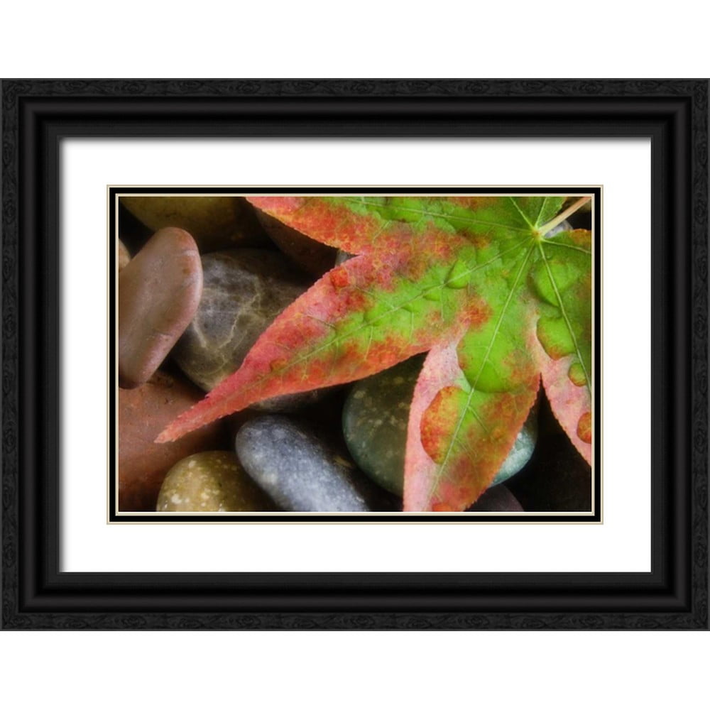 Paulson, Don 14x11 Black Ornate Wood Framed with Double Matting Museum ...