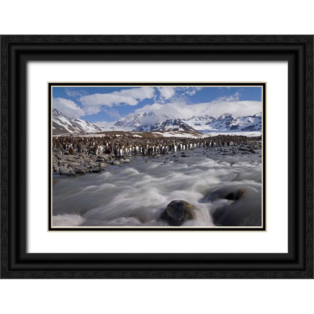 Paulson, Don 14x11 Black Ornate Wood Framed with Double Matting Museum ...