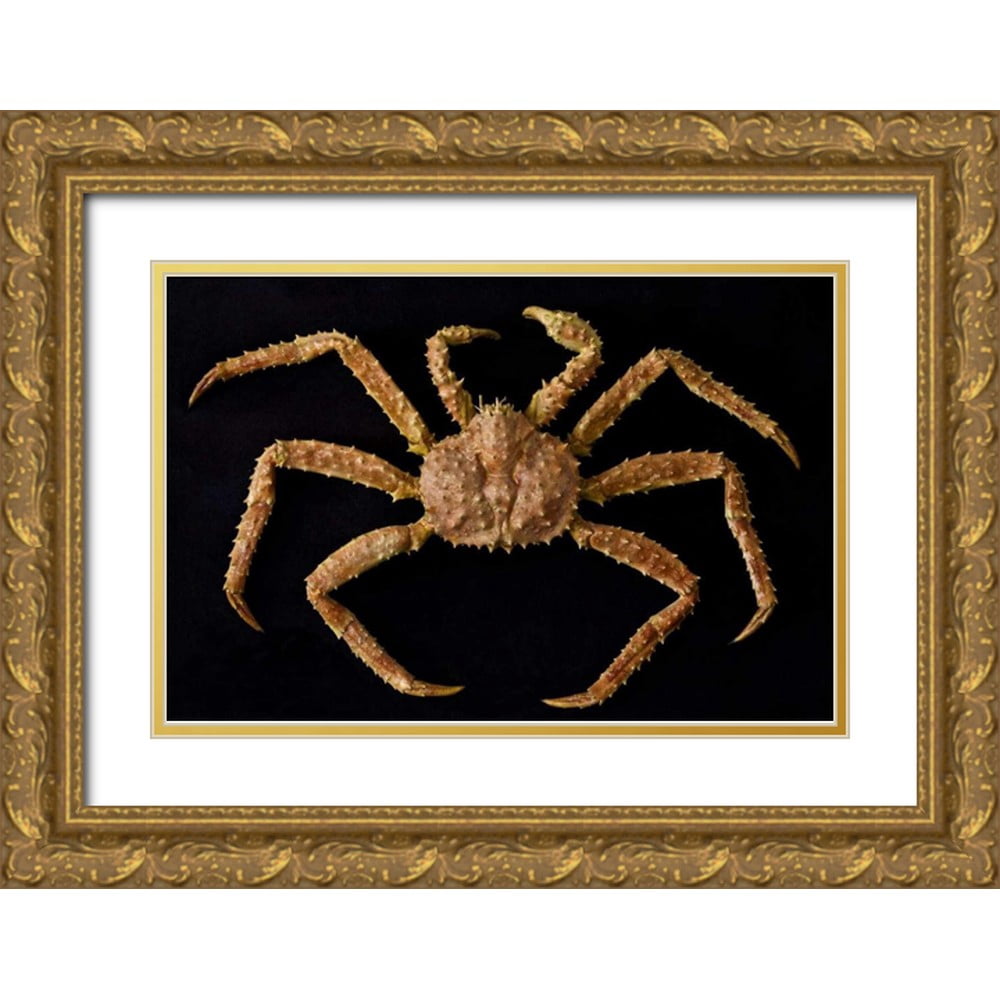 Paulson, Don 14x11 Gold Ornate Wood Framed with Double Matting Museum ...