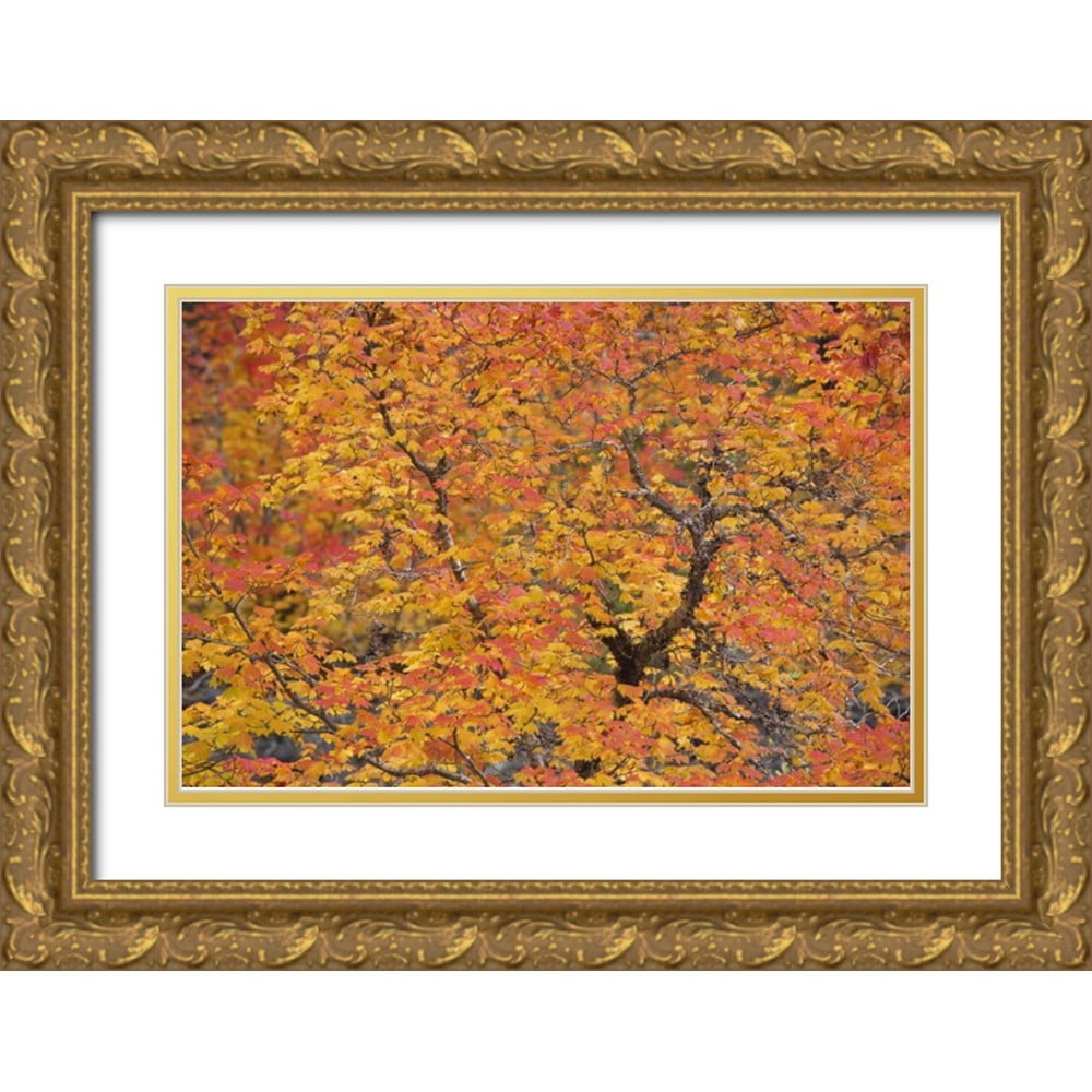 Paulson, Don 14x11 Gold Ornate Wood Framed with Double Matting Museum ...