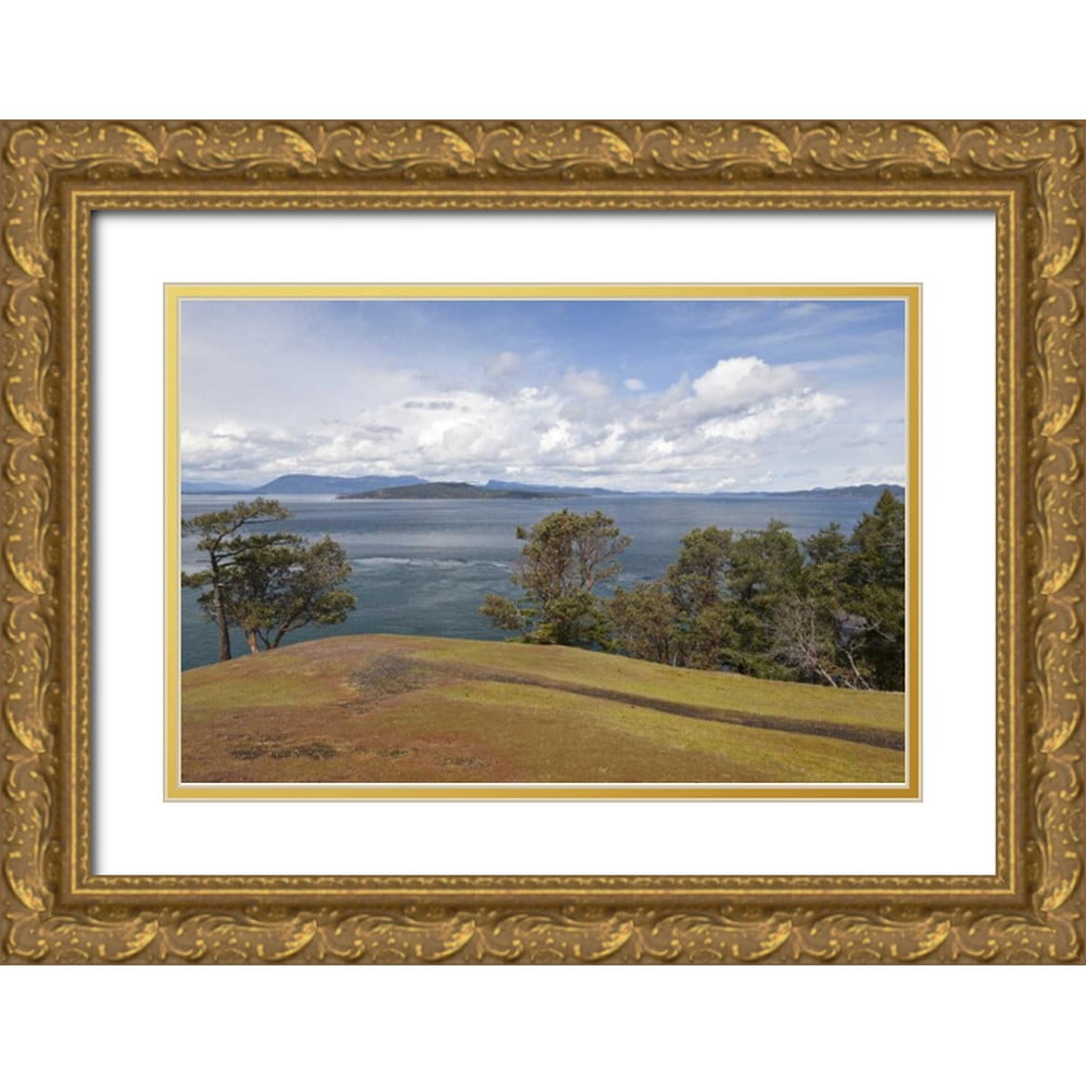 Paulson, Don 14x11 Gold Ornate Wood Framed with Double Matting Museum ...