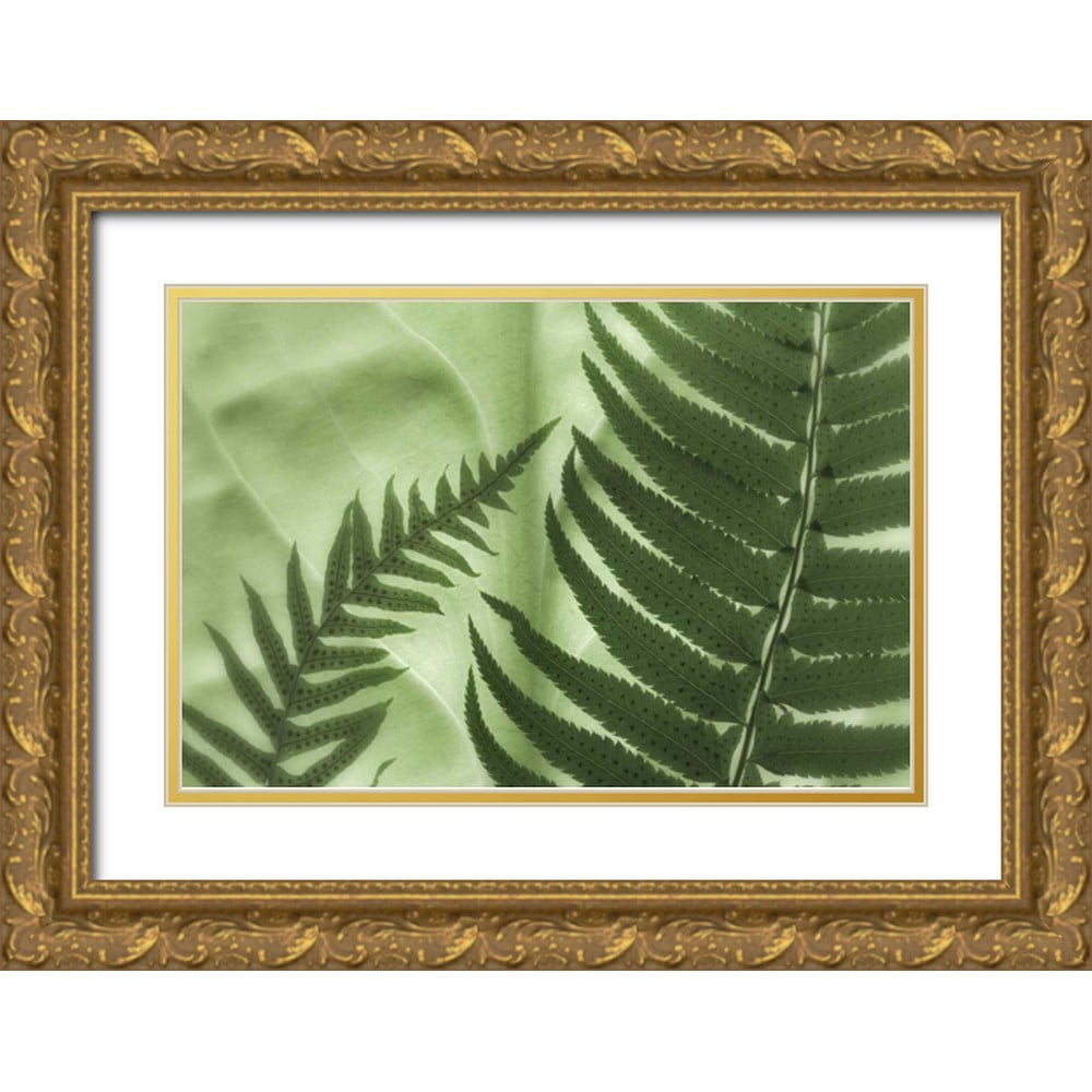 Paulson, Don 14x11 Gold Ornate Wood Framed with Double Matting Museum ...