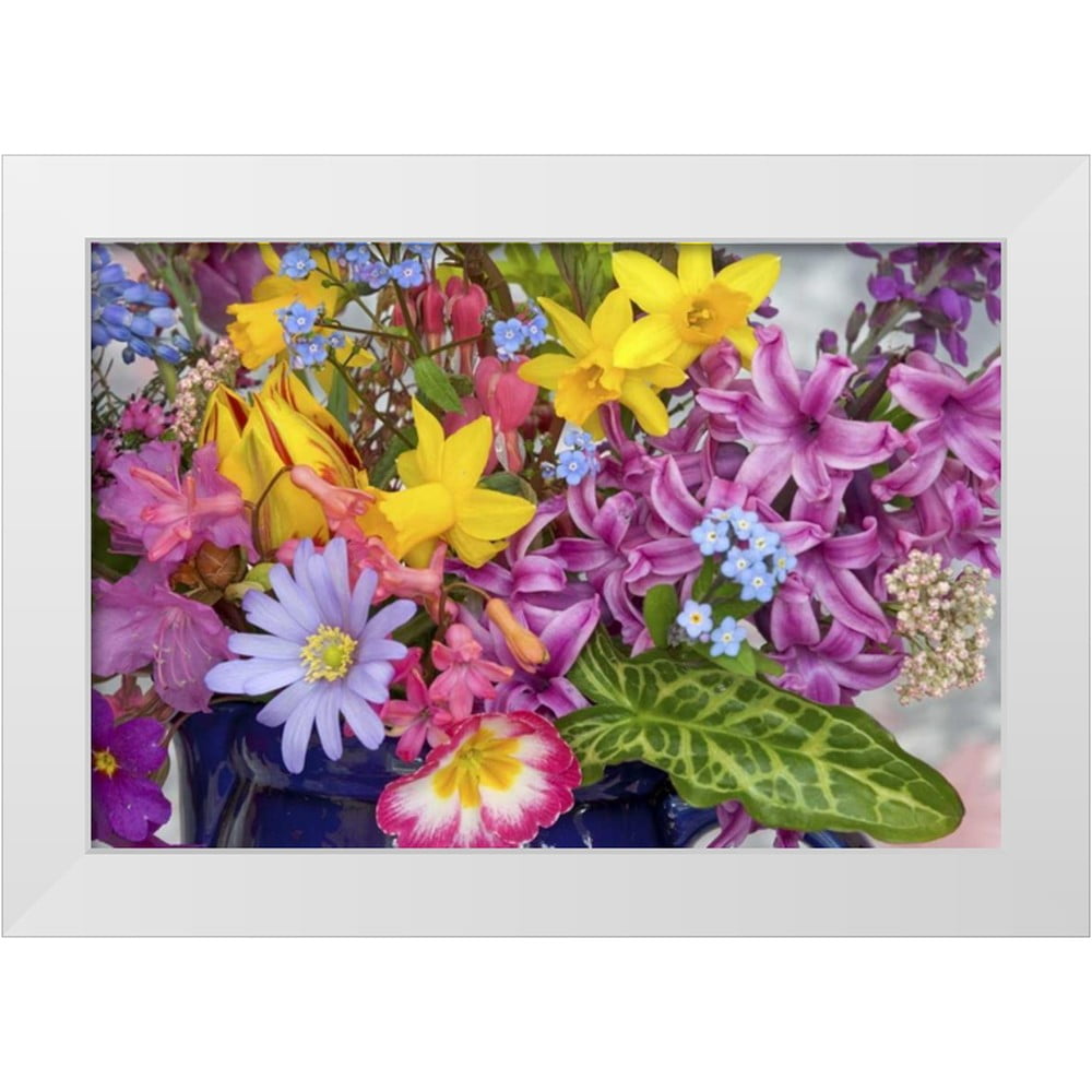 Paulson, Don 14x11 White Modern Wood Framed Museum Art Print Titled - Close-up of spring flower ...