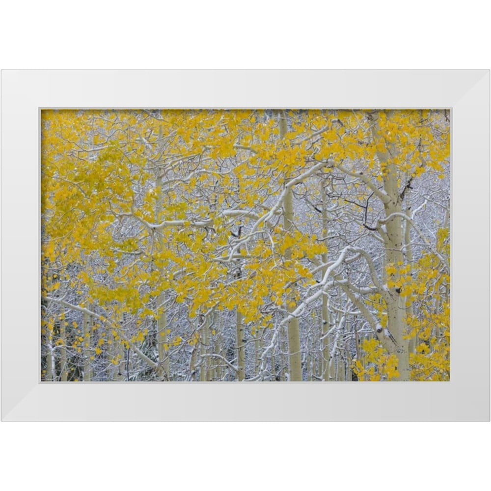Paulson, Don 14x11 White Modern Wood Framed Museum Art Print Titled ...