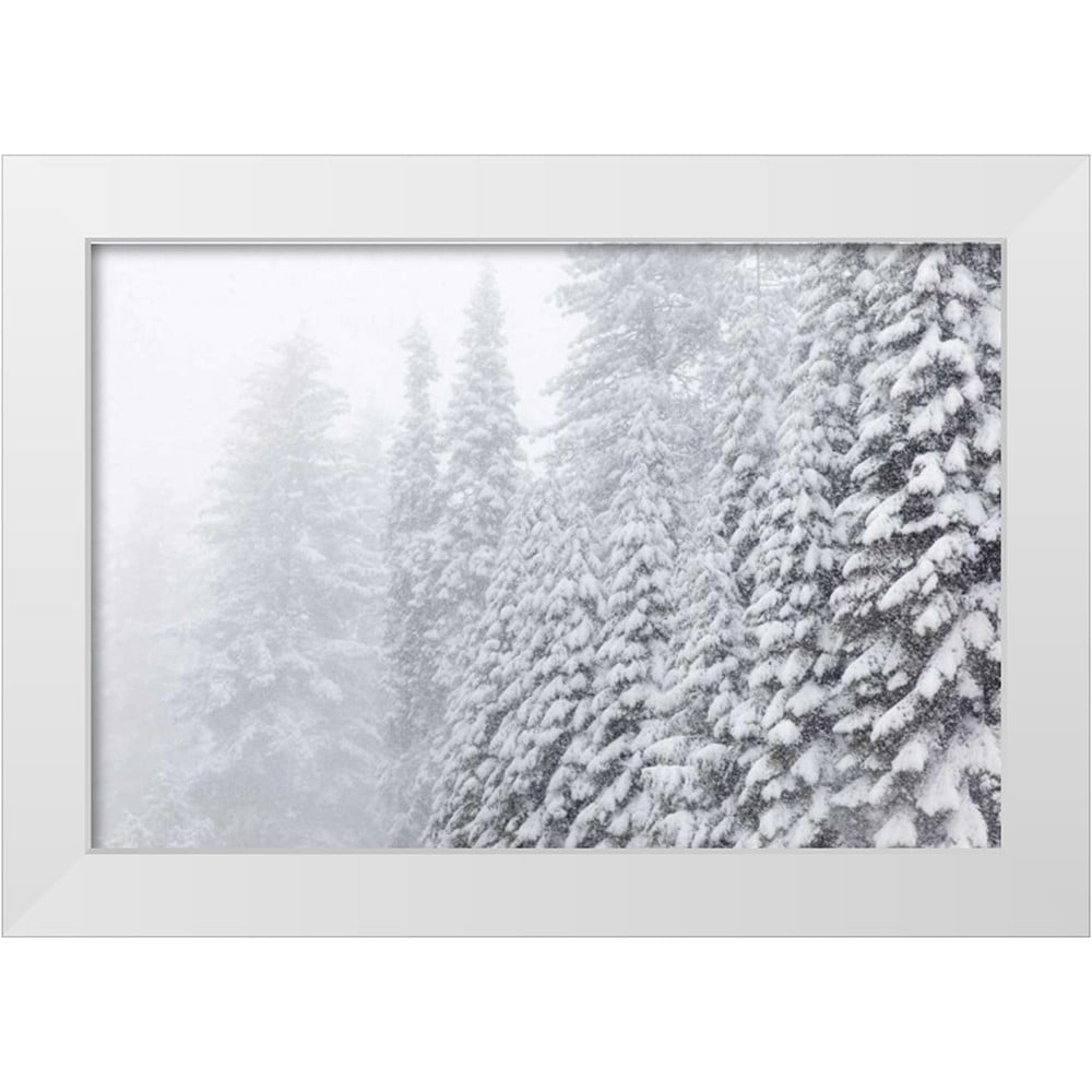 Paulson, Don 14x11 White Modern Wood Framed Museum Art Print Titled ...