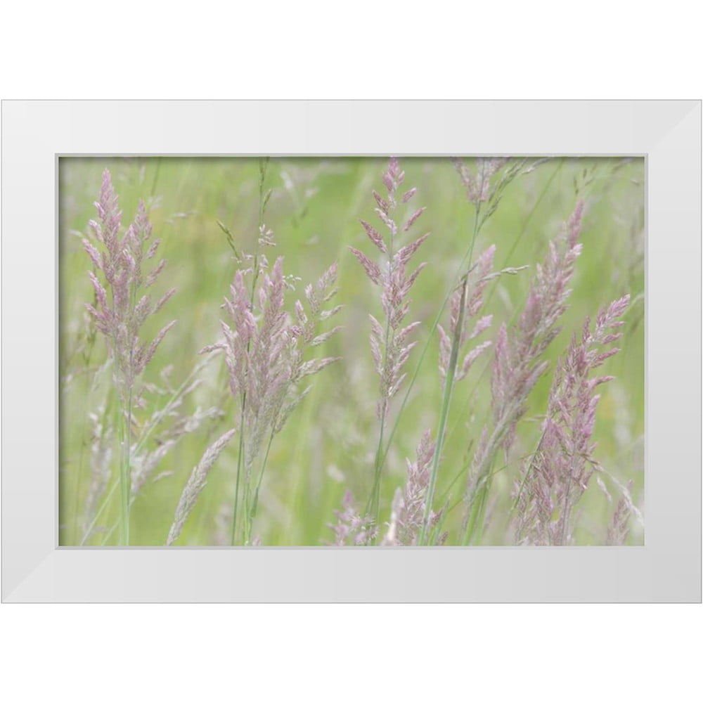 Paulson, Don 14x11 White Modern Wood Framed Museum Art Print Titled - USA, Washington, Seabeck ...