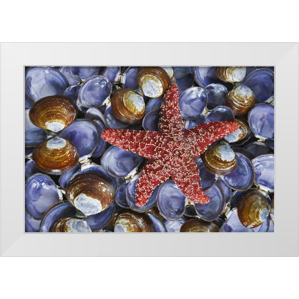 Paulson, Don 14x11 White Modern Wood Framed Museum Art Print Titled - WA, Hood Canal, Seabeck ...