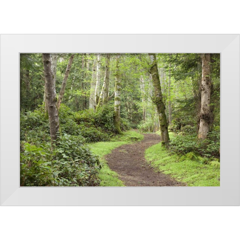 Paulson, Don 14x11 White Modern Wood Framed Museum Art Print Titled ...
