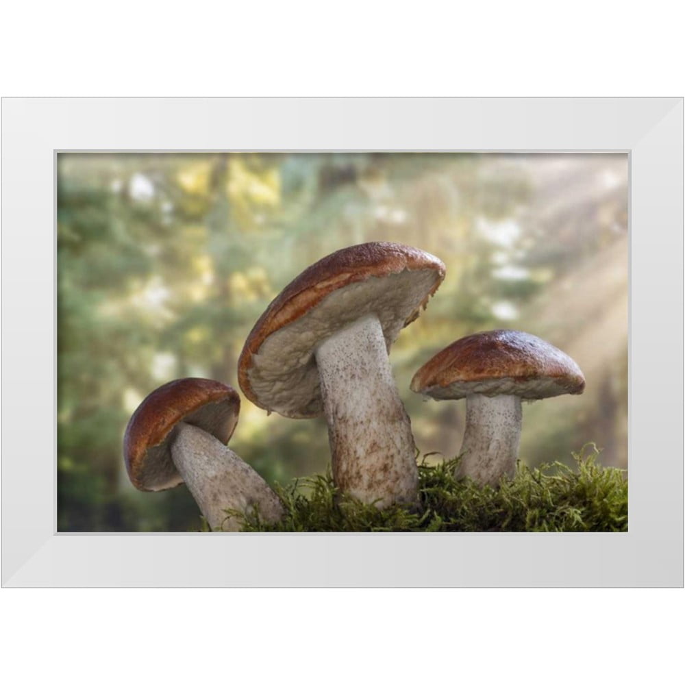 Paulson, Don 14x11 White Modern Wood Framed Museum Art Print Titled ...