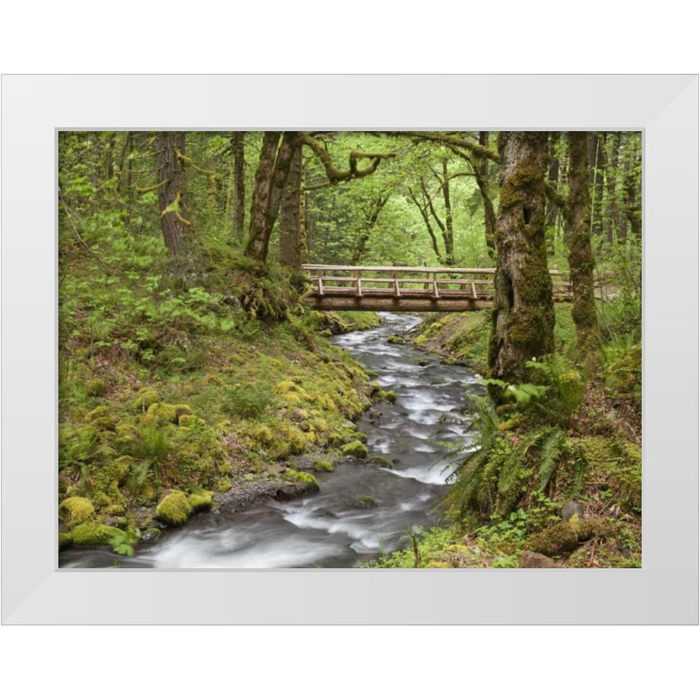 Paulson, Don 14x12 White Modern Wood Framed Museum Art Print Titled ...