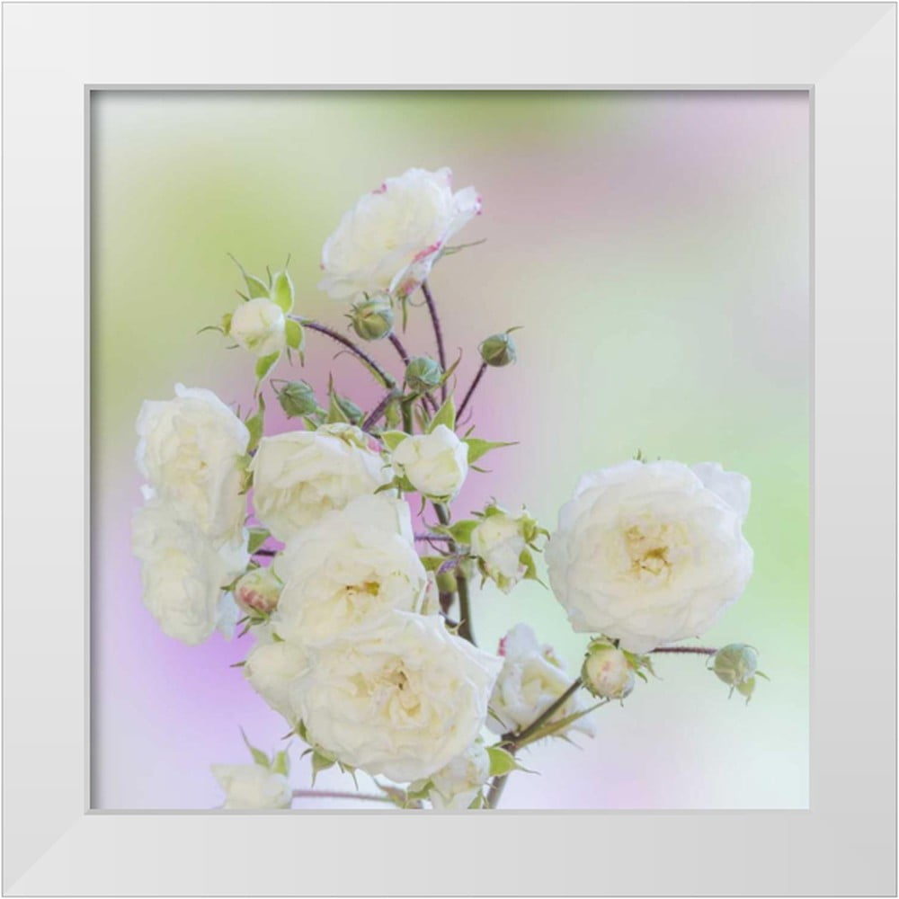 Paulson, Don 15x15 White Modern Wood Framed Museum Art Print Titled ...