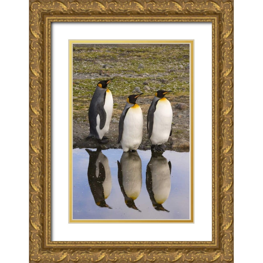 Paulson, Don 17x24 Gold Ornate Wood Framed with Double Matting Museum ...