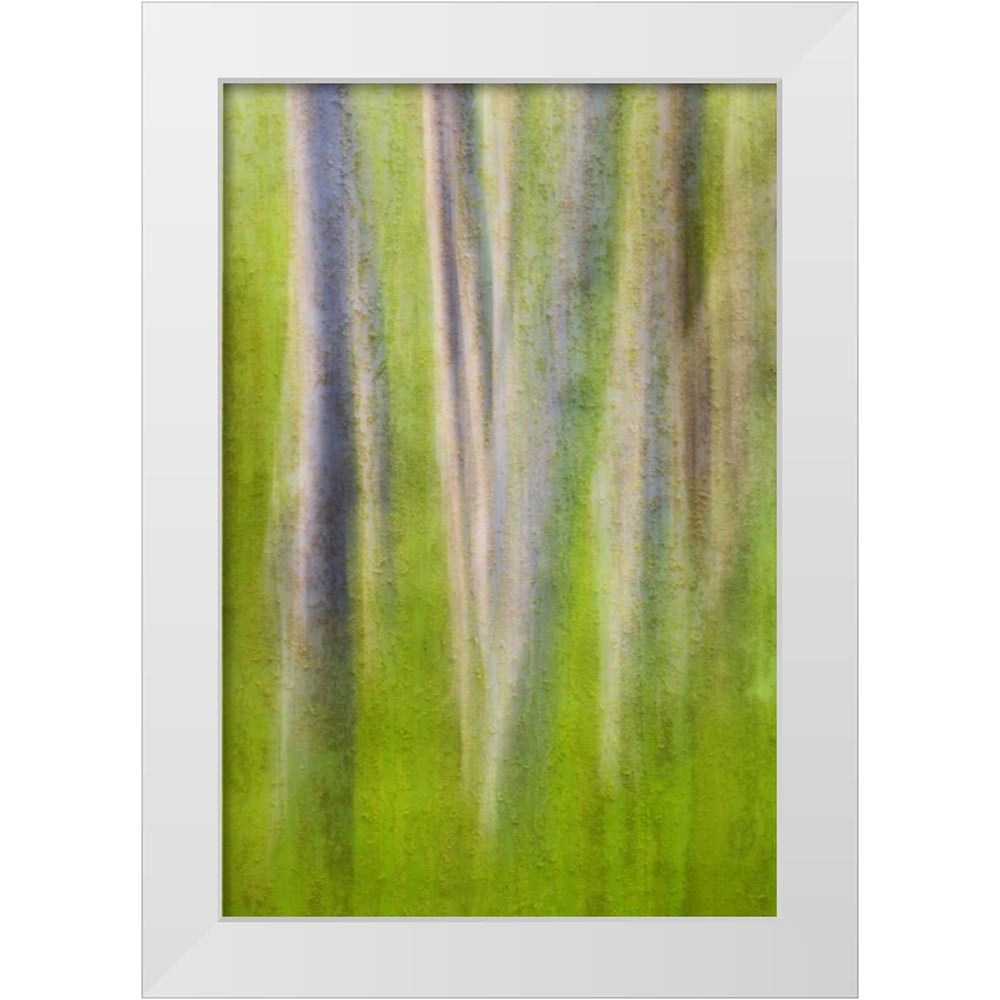 Paulson, Don 17x24 White Modern Wood Framed Museum Art Print Titled ...