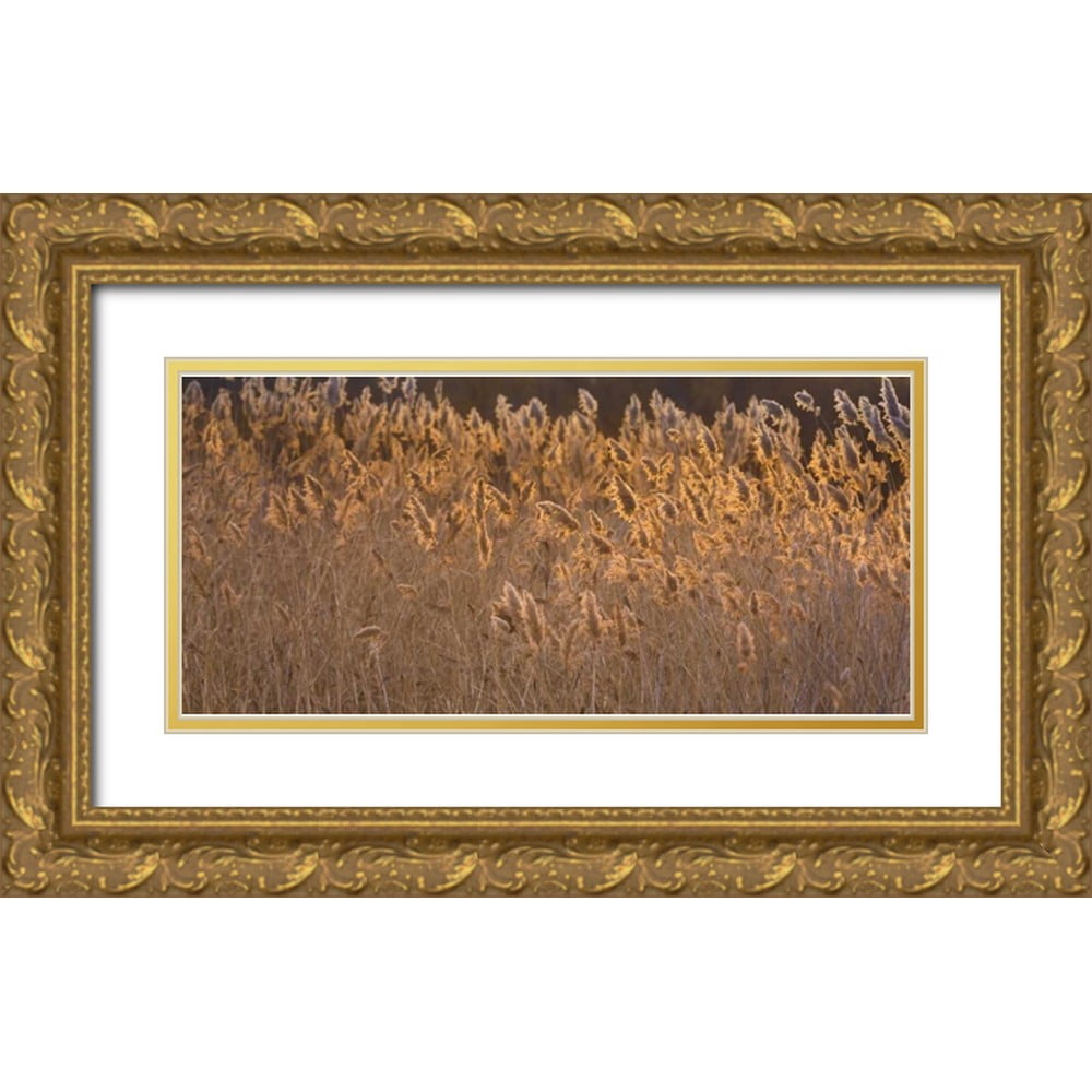 Paulson, Don 18x11 Gold Ornate Wood Framed with Double Matting Museum ...