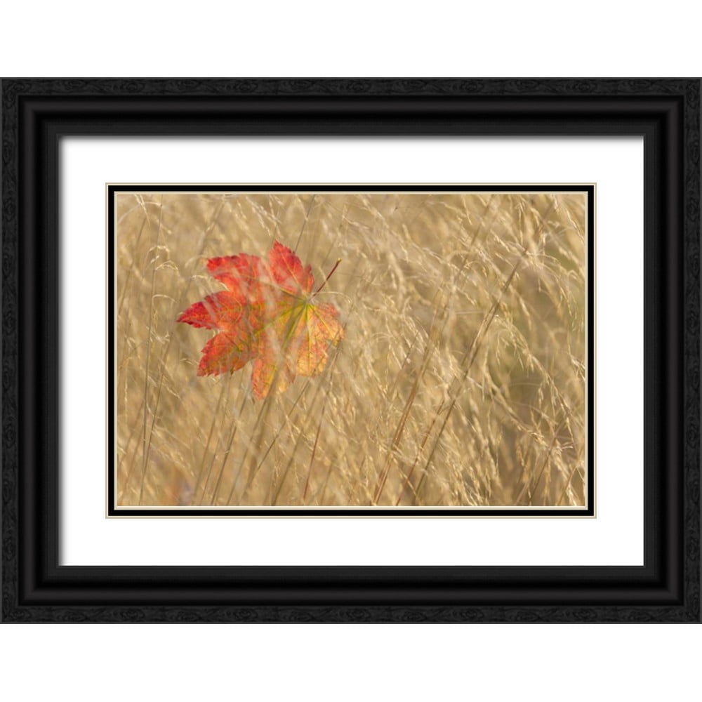 Paulson, Don 18x13 Black Ornate Wood Framed with Double Matting Museum ...