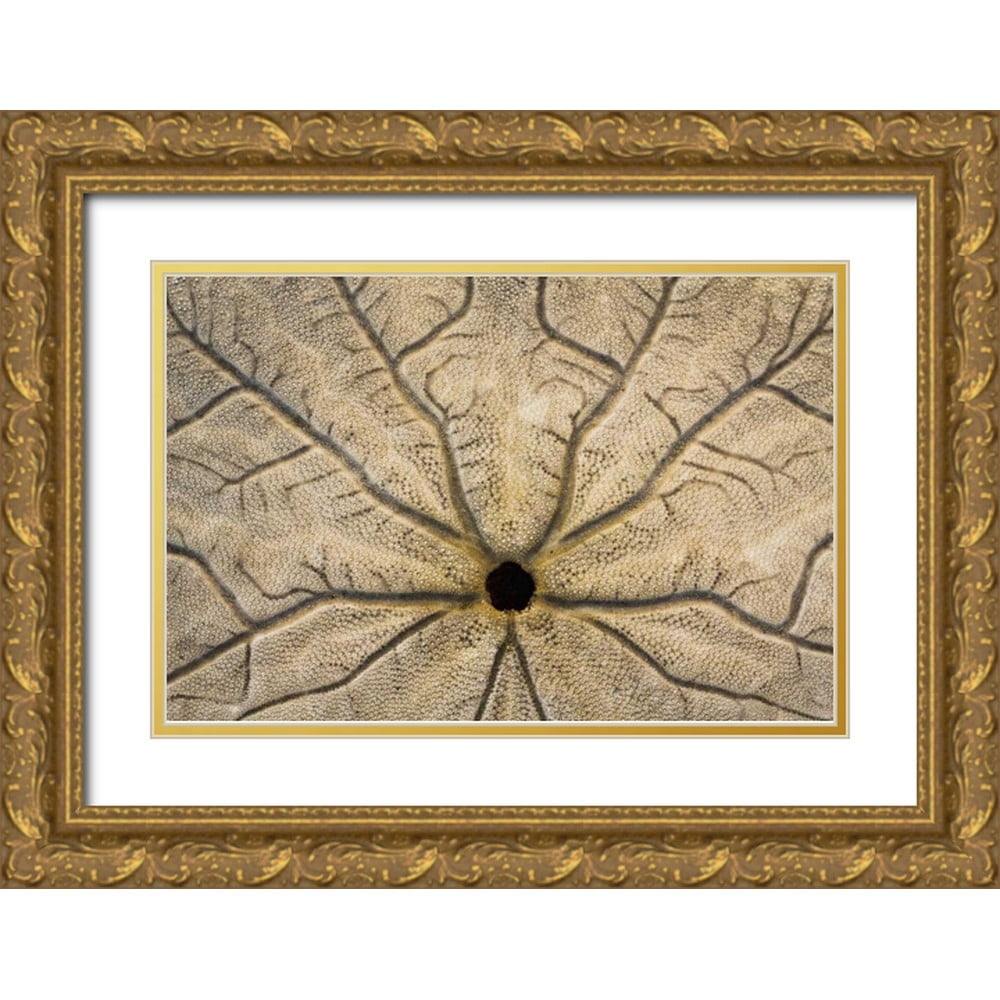Paulson, Don 18x13 Gold Ornate Wood Framed with Double Matting Museum ...