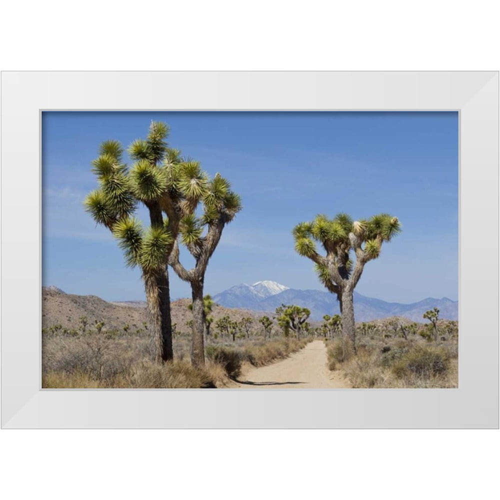 Paulson, Don 18x13 White Modern Wood Framed Museum Art Print Titled ...