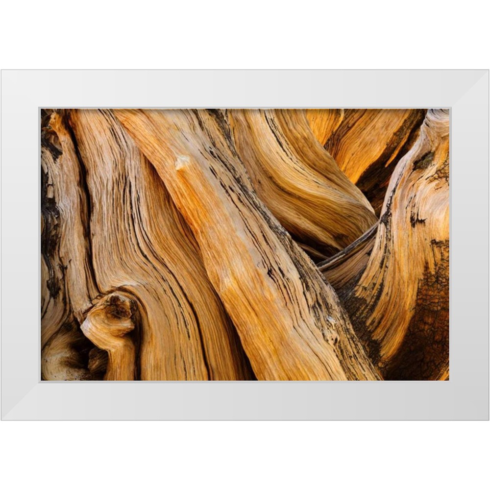 Paulson, Don 18x13 White Modern Wood Framed Museum Art Print Titled ...