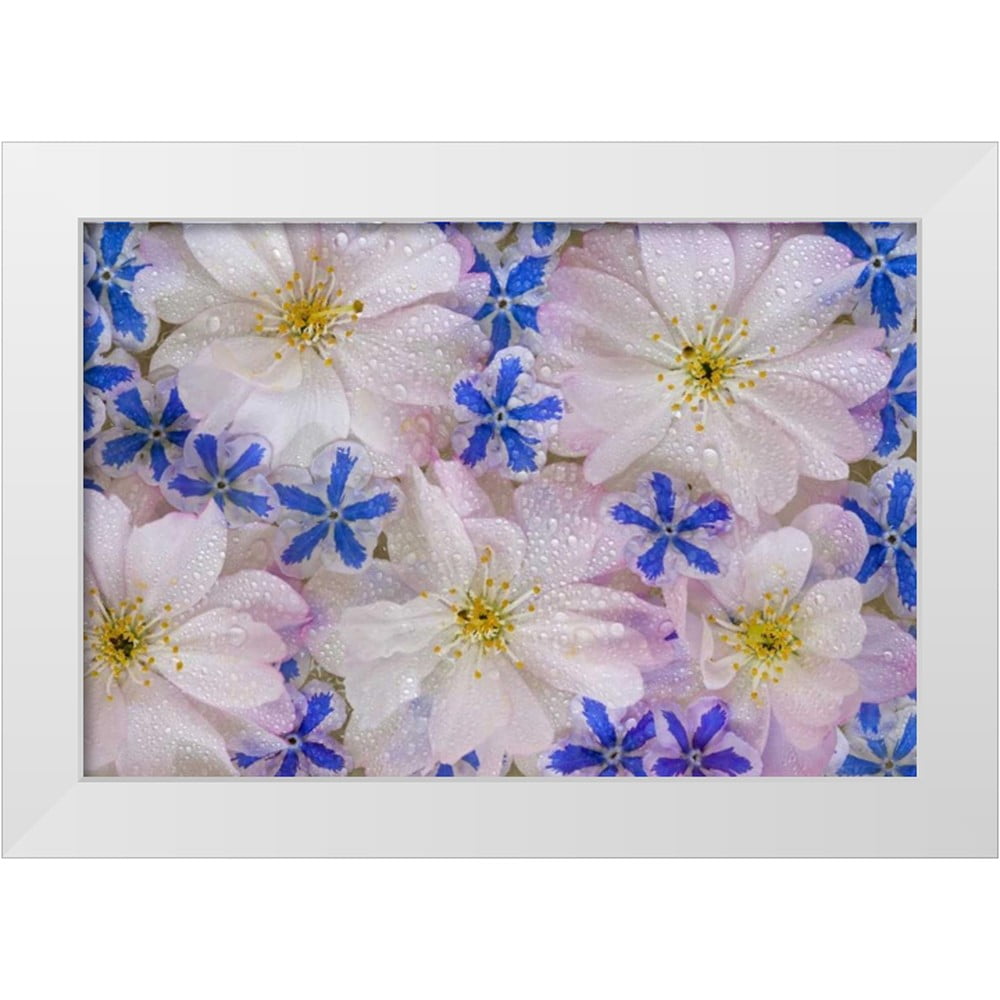 Paulson, Don 18x13 White Modern Wood Framed Museum Art Print Titled ...