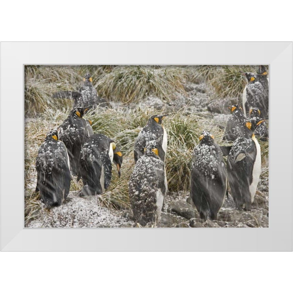 Paulson, Don 18x13 White Modern Wood Framed Museum Art Print Titled ...