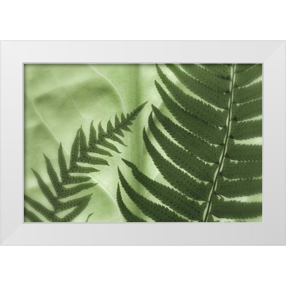 Paulson, Don 18x13 White Modern Wood Framed Museum Art Print Titled ...