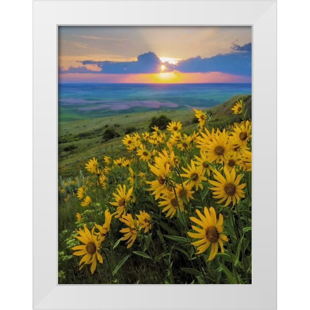 Paulson, Don 19x24 White Modern Wood Framed Museum Art Print Titled ...