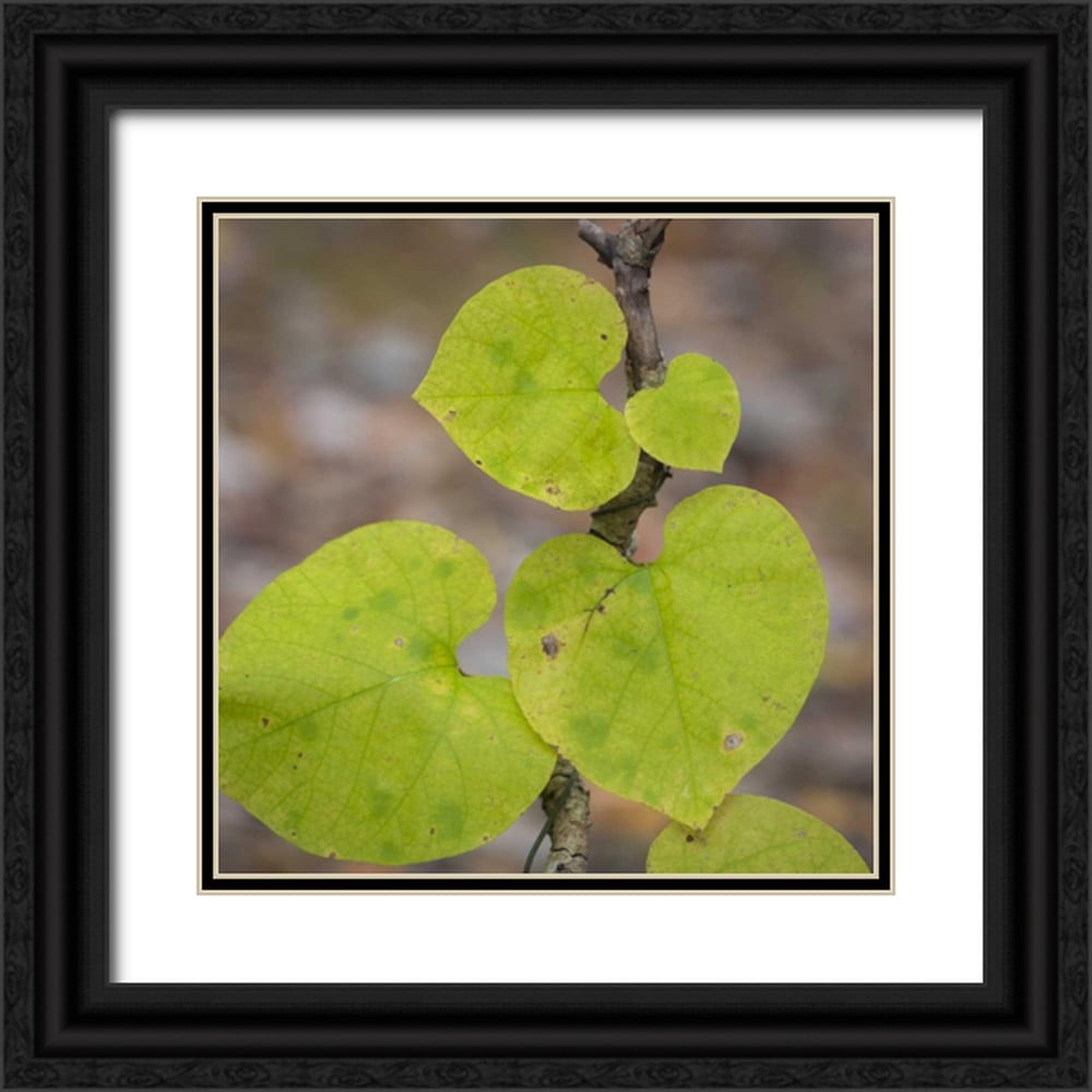 Paulson, Don 20x20 Black Ornate Wood Framed with Double Matting Museum ...