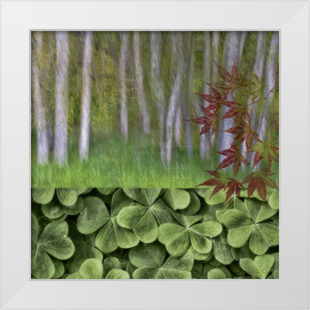 Paulson, Don 20x20 White Modern Wood Framed Museum Art Print Titled ...