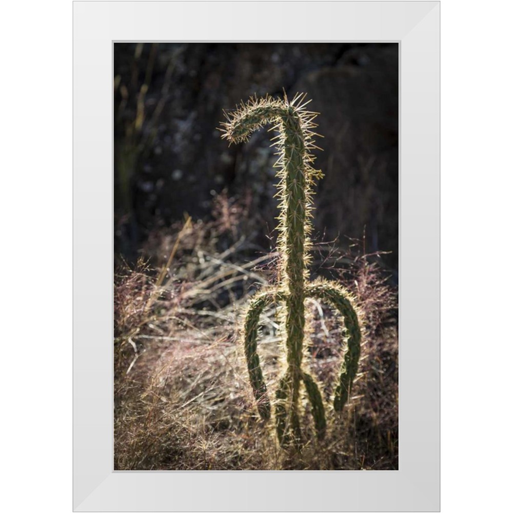Paulson, Don 23x32 White Modern Wood Framed Museum Art Print Titled ...