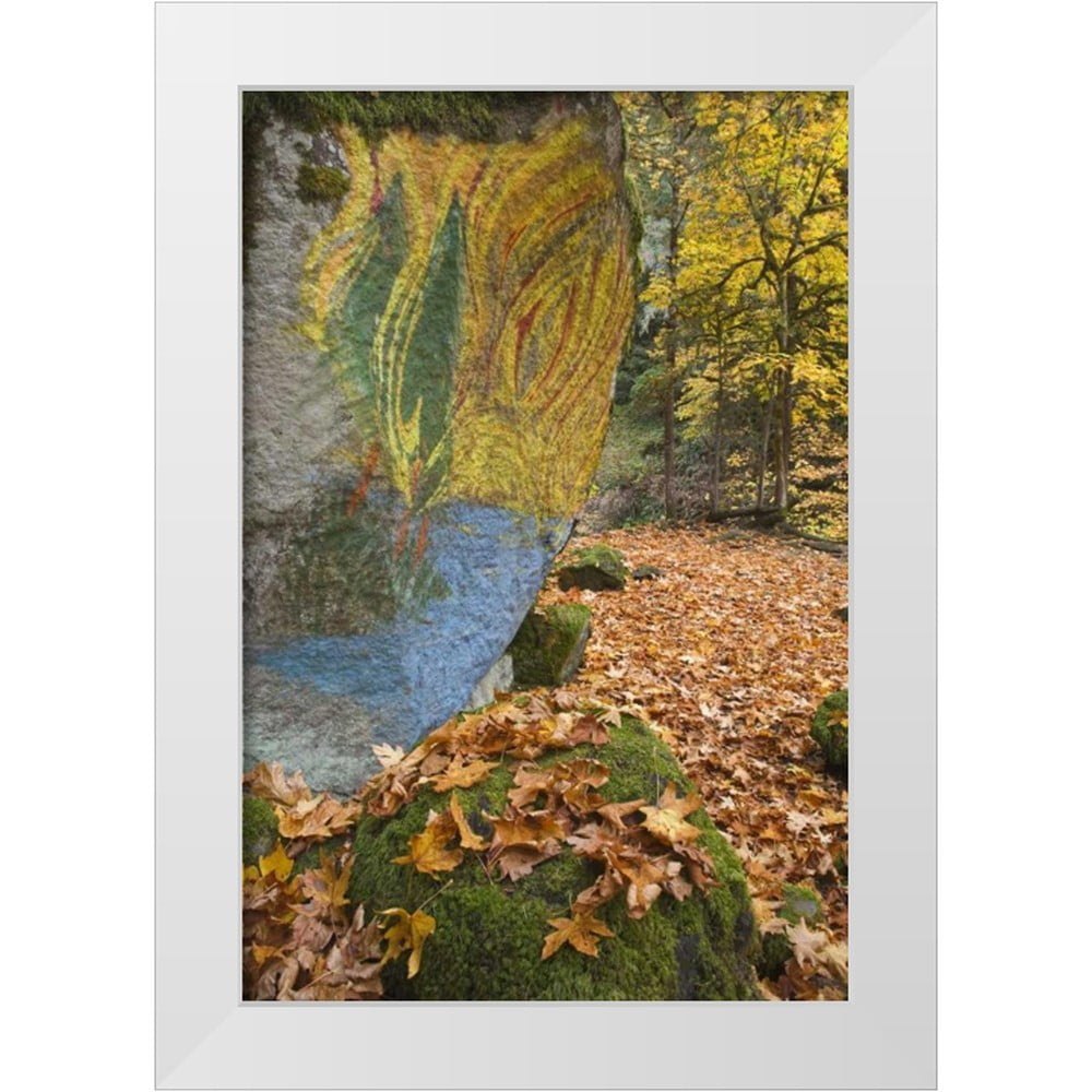 Paulson, Don 23x32 White Modern Wood Framed Museum Art Print Titled ...