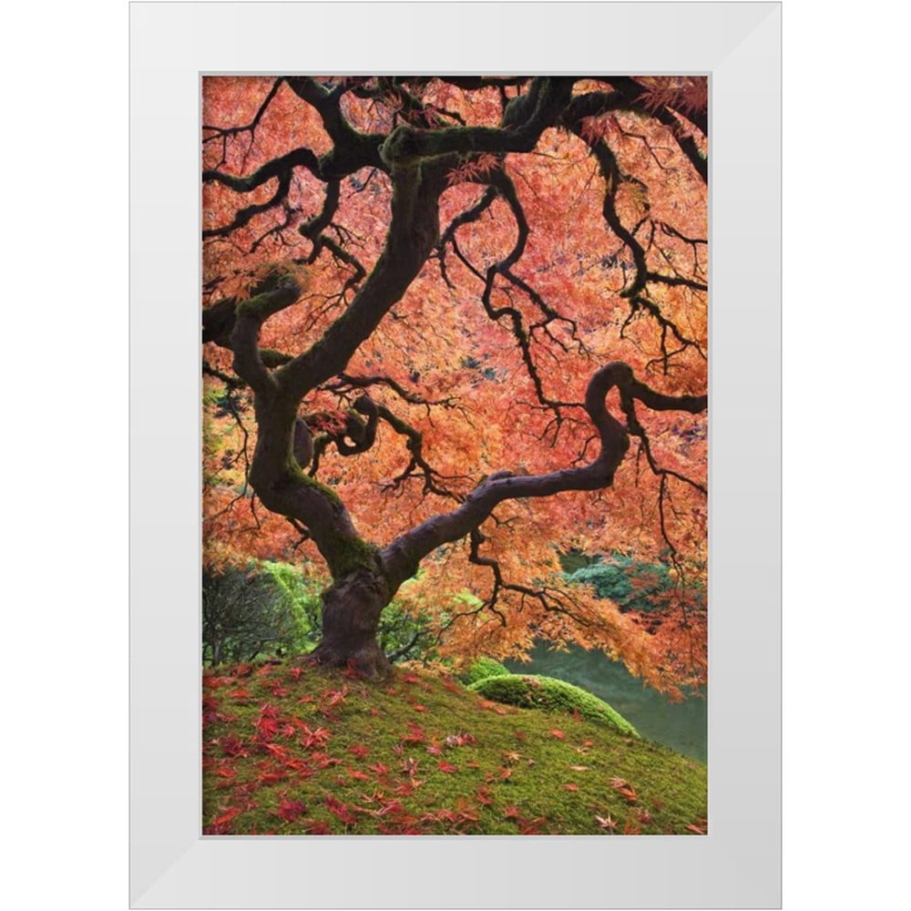 Paulson, Don 23x32 White Modern Wood Framed Museum Art Print Titled ...