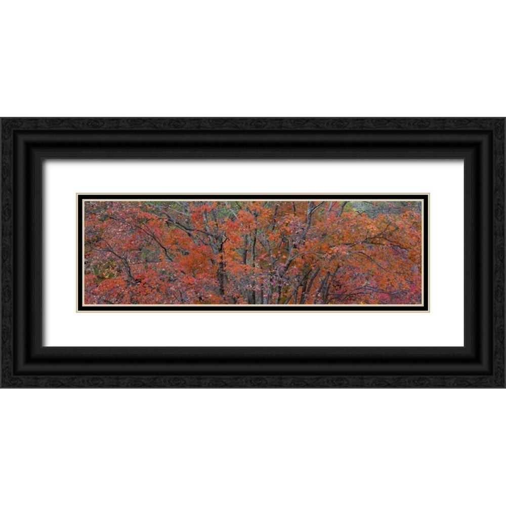 Paulson, Don 24x10 Black Ornate Wood Framed with Double Matting Museum ...